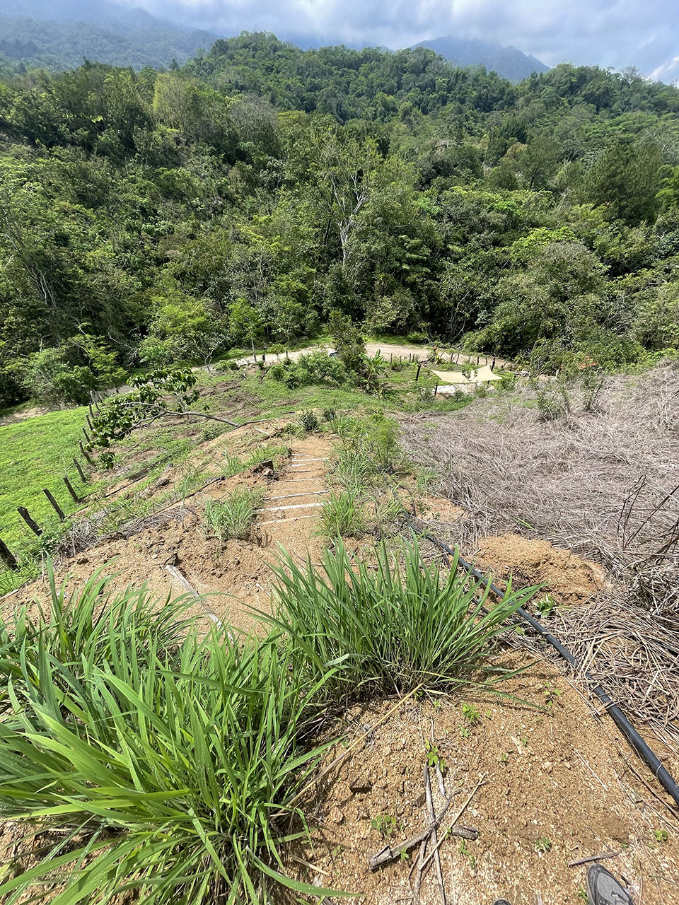 Summer Adventures in Vallarta + 2 Trips North - Due West Adventures